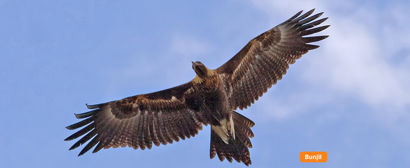 Wurundjeri Stories and Totems - Deadly Story